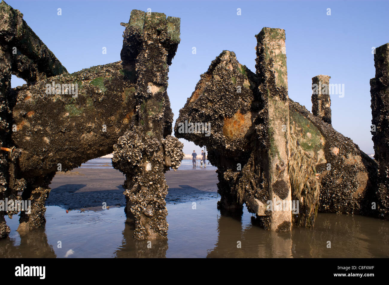 Bait digging beach hi-res stock photography and images - Alamy