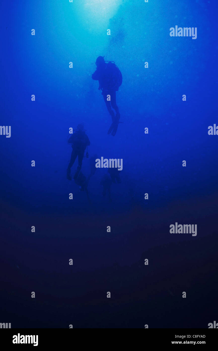 divers in the big blue water Stock Photo - Alamy