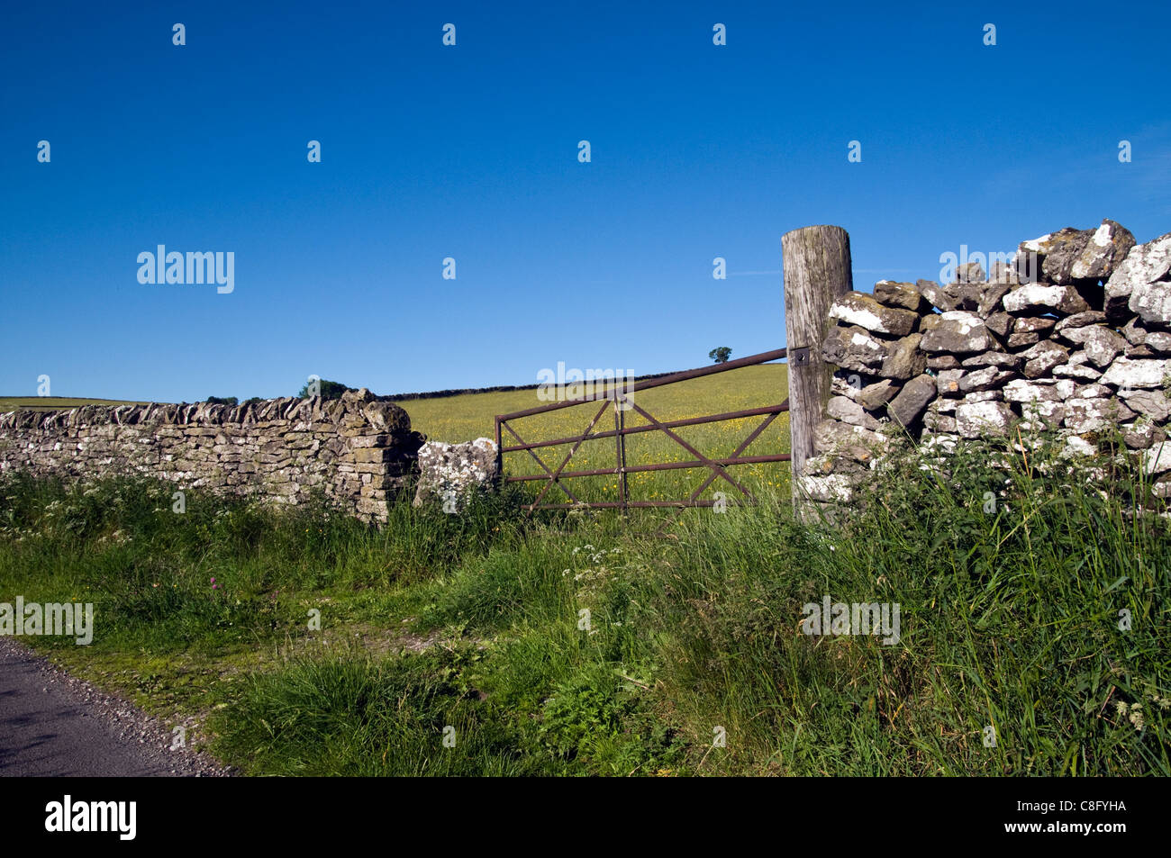 summer on the land Stock Photo - Alamy