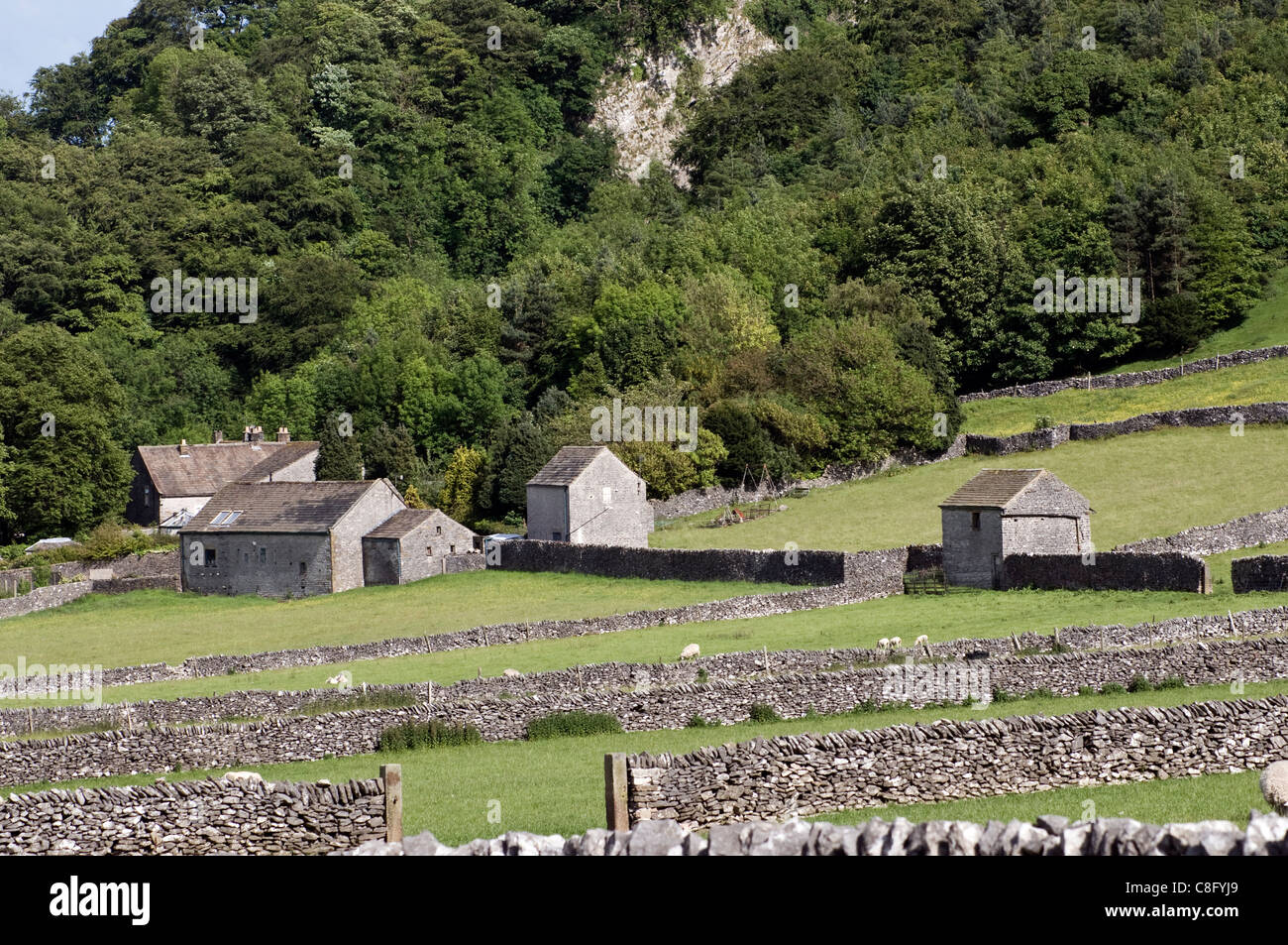 Open pasture hi-res stock photography and images - Alamy