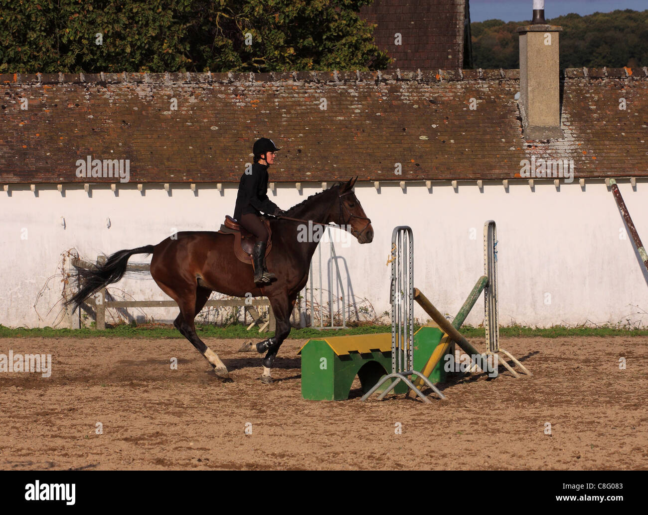 Horse contests hi-res stock photography and images - Alamy