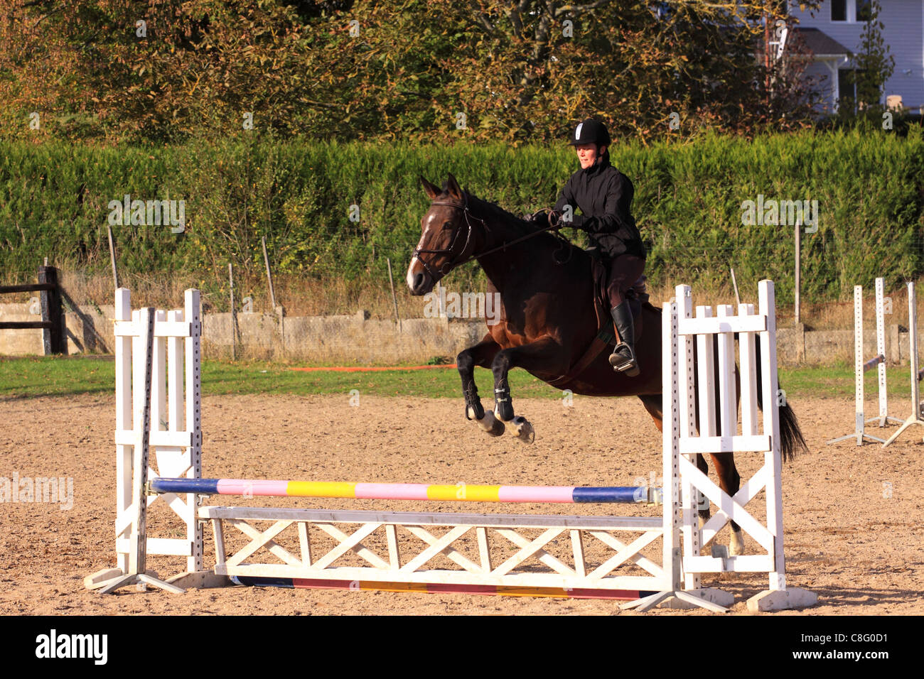 Horse contests hi-res stock photography and images - Alamy