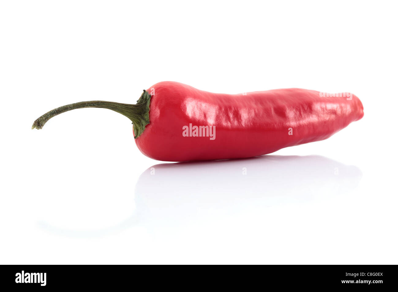 Single red chili with a reflection isolated on a white background Stock ...