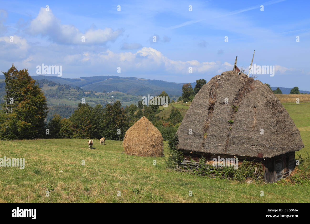 Hay house apuseni hi-res stock photography and images - Alamy