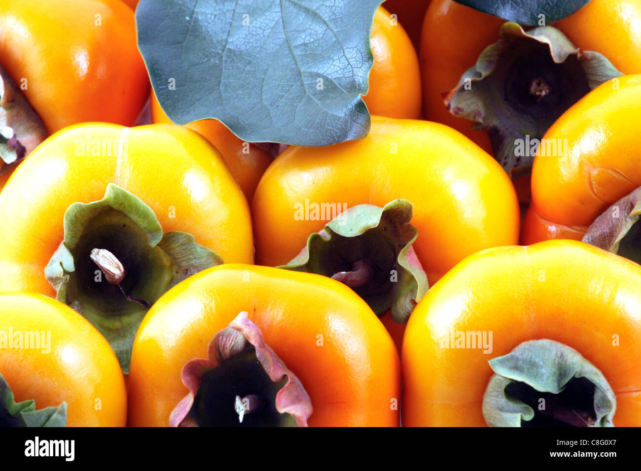 Persimmon on white background Stock Photo - Alamy