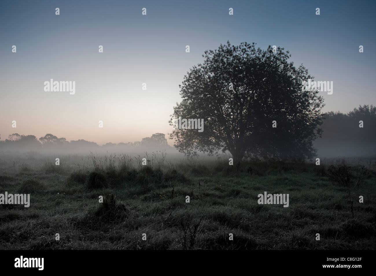 Early morning mist Stock Photo - Alamy