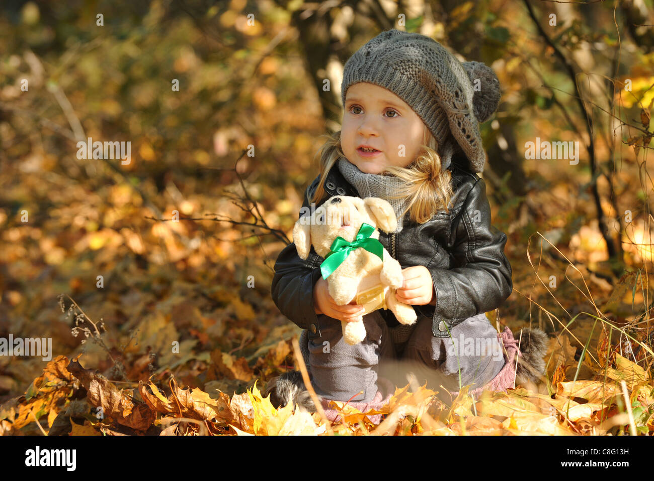 Little girl in autumn leaves scenery Stock Photo - Alamy