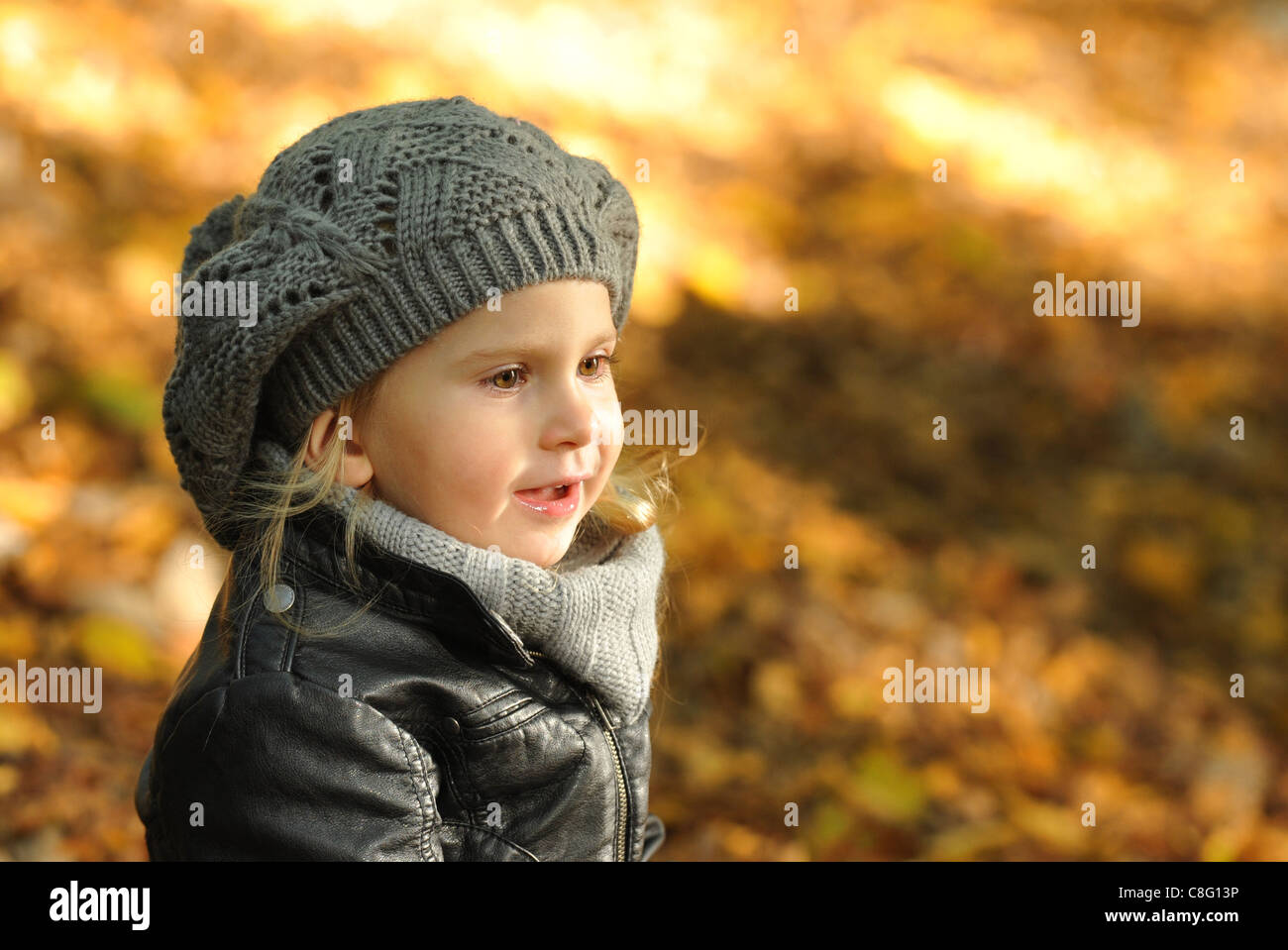 Little girl in autumn leaves scenery Stock Photo - Alamy