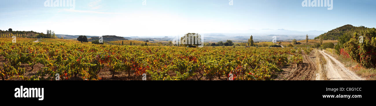 Labastida hi-res stock photography and images - Alamy