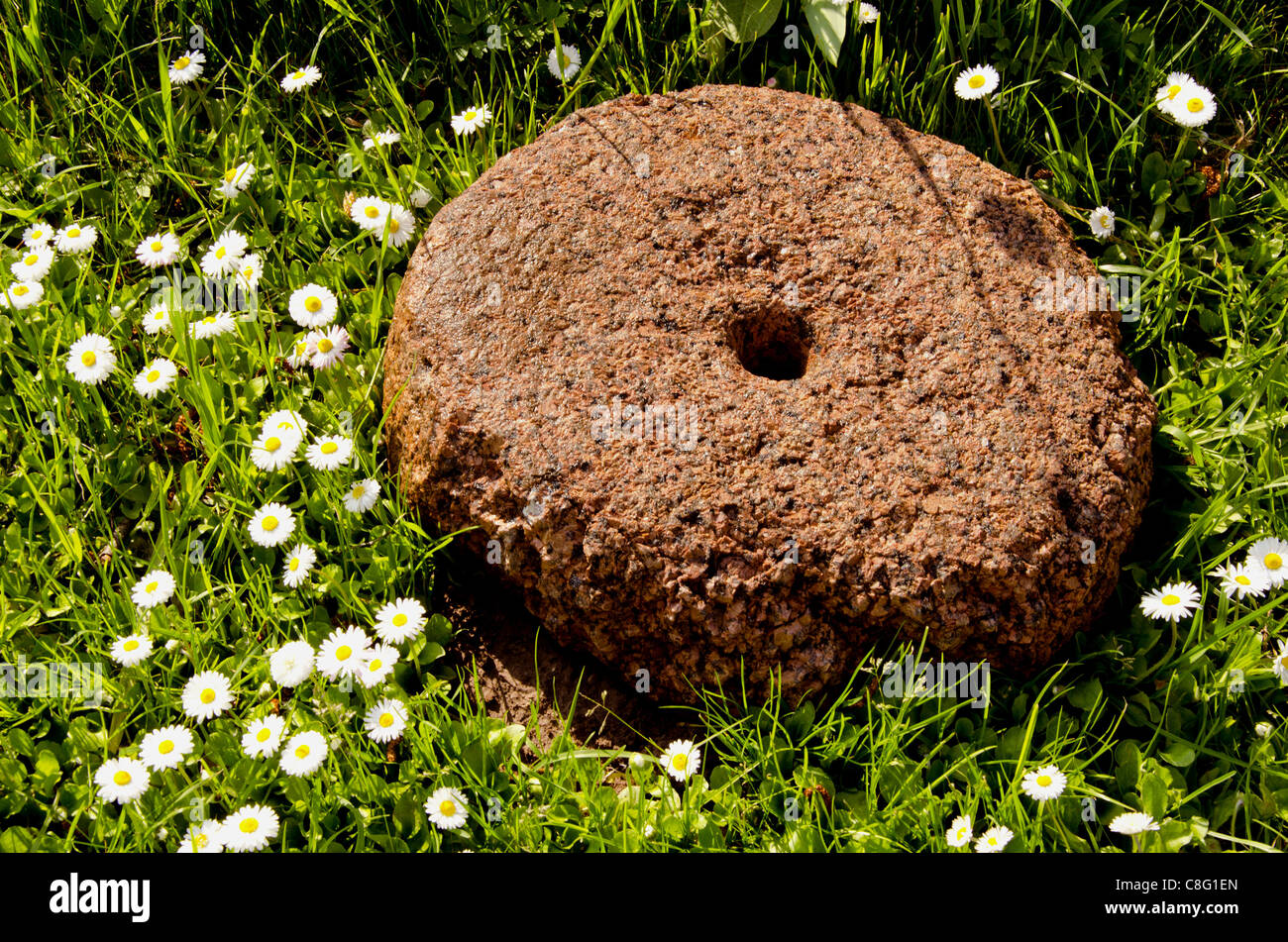 Millstone resting in flowery meadow. Ancient device for milling grain ...