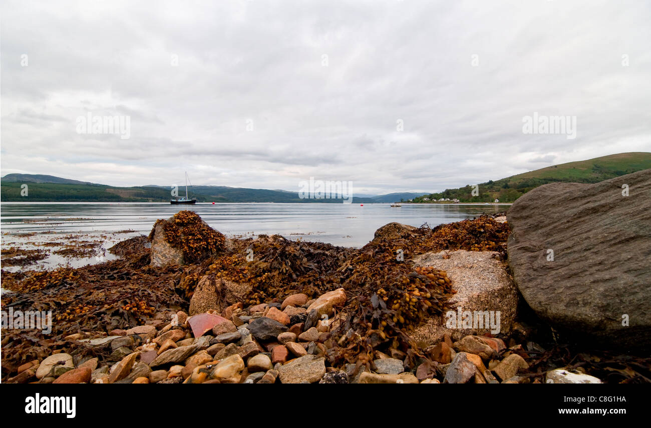 Looking across Loch Fyne towards Strachur in Scotland Stock Photo - Alamy