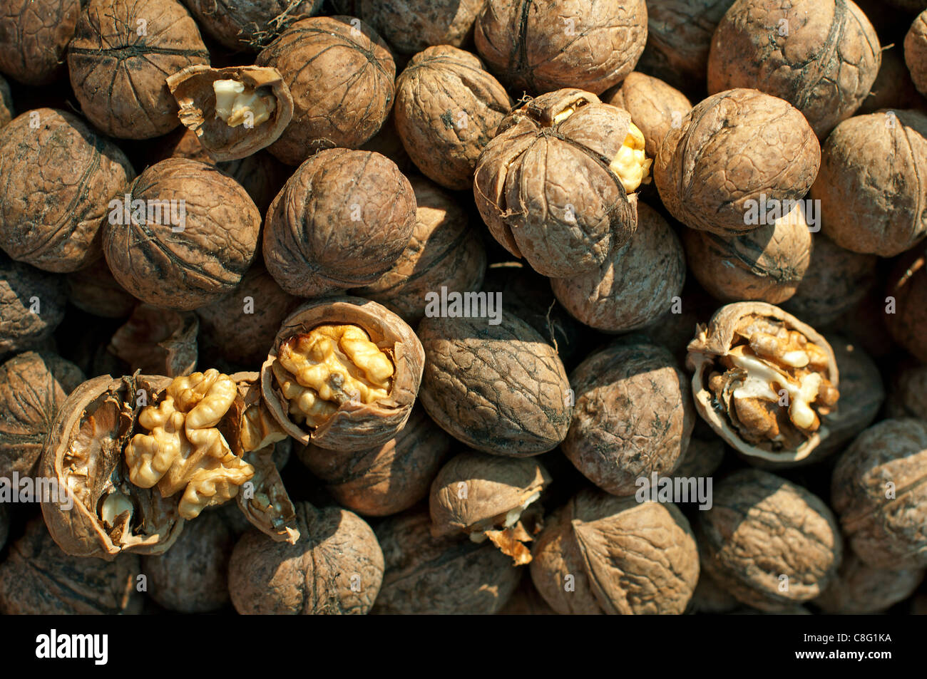 Walnut with shell hi-res stock photography and images - Alamy