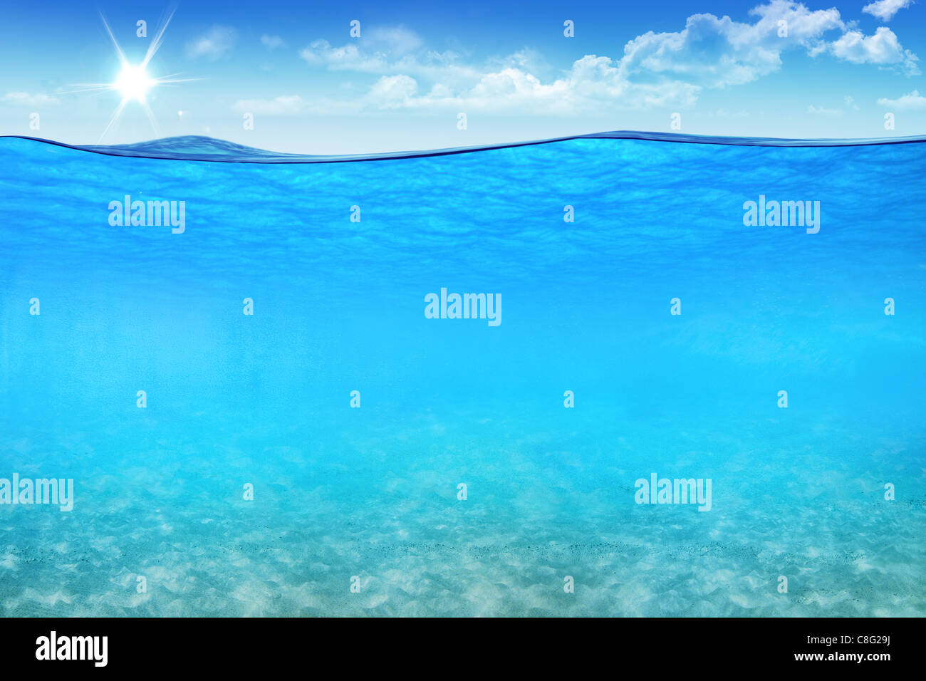 Beautiful Under Ocean Pictures