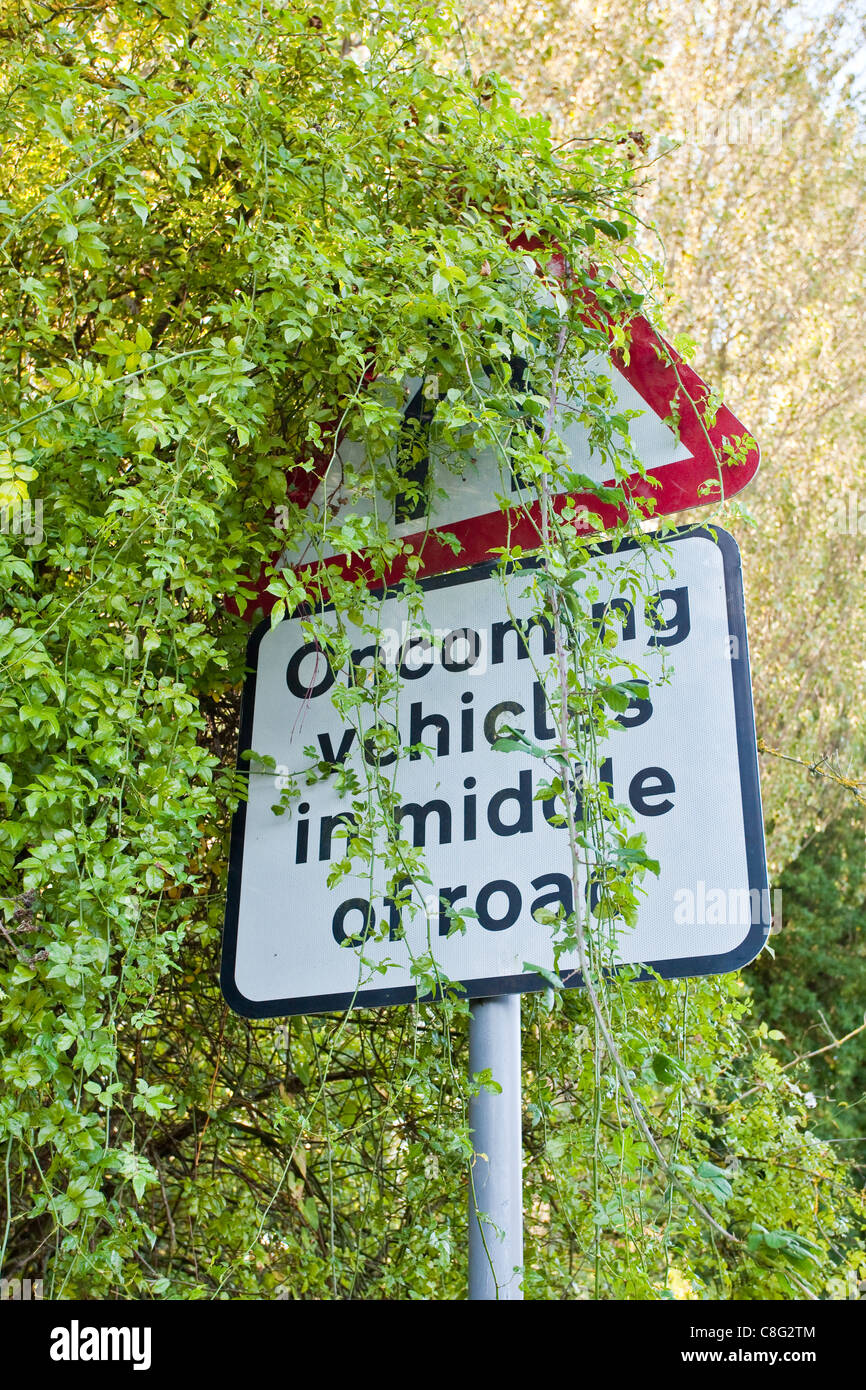 Road sign obscured by shrubs, UK Stock Photo - Alamy