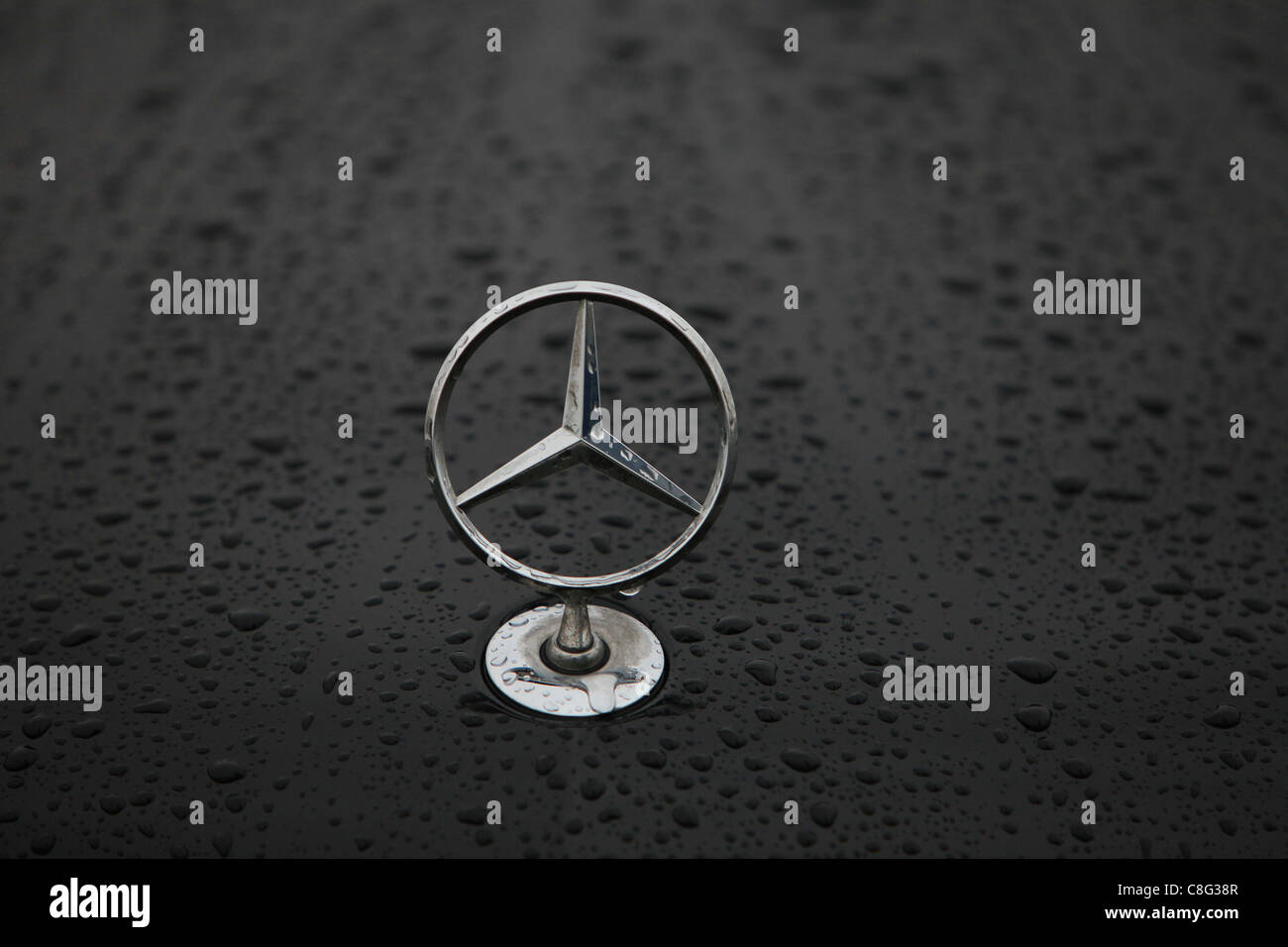 Close up of cars with rain drops on the bonnet (hood) of car Stock ...