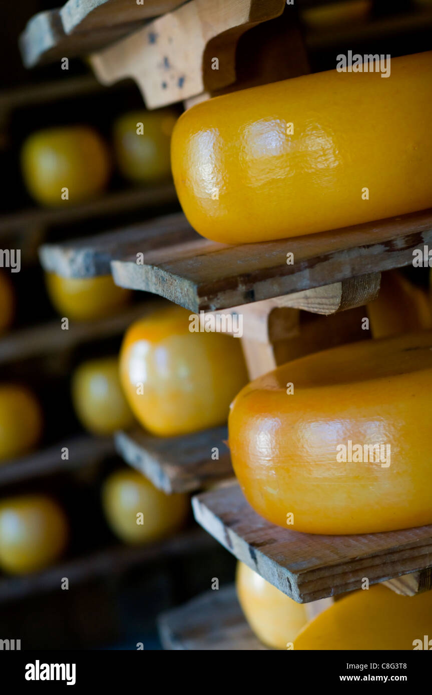 Maturing cheeses hi-res stock photography and images - Alamy