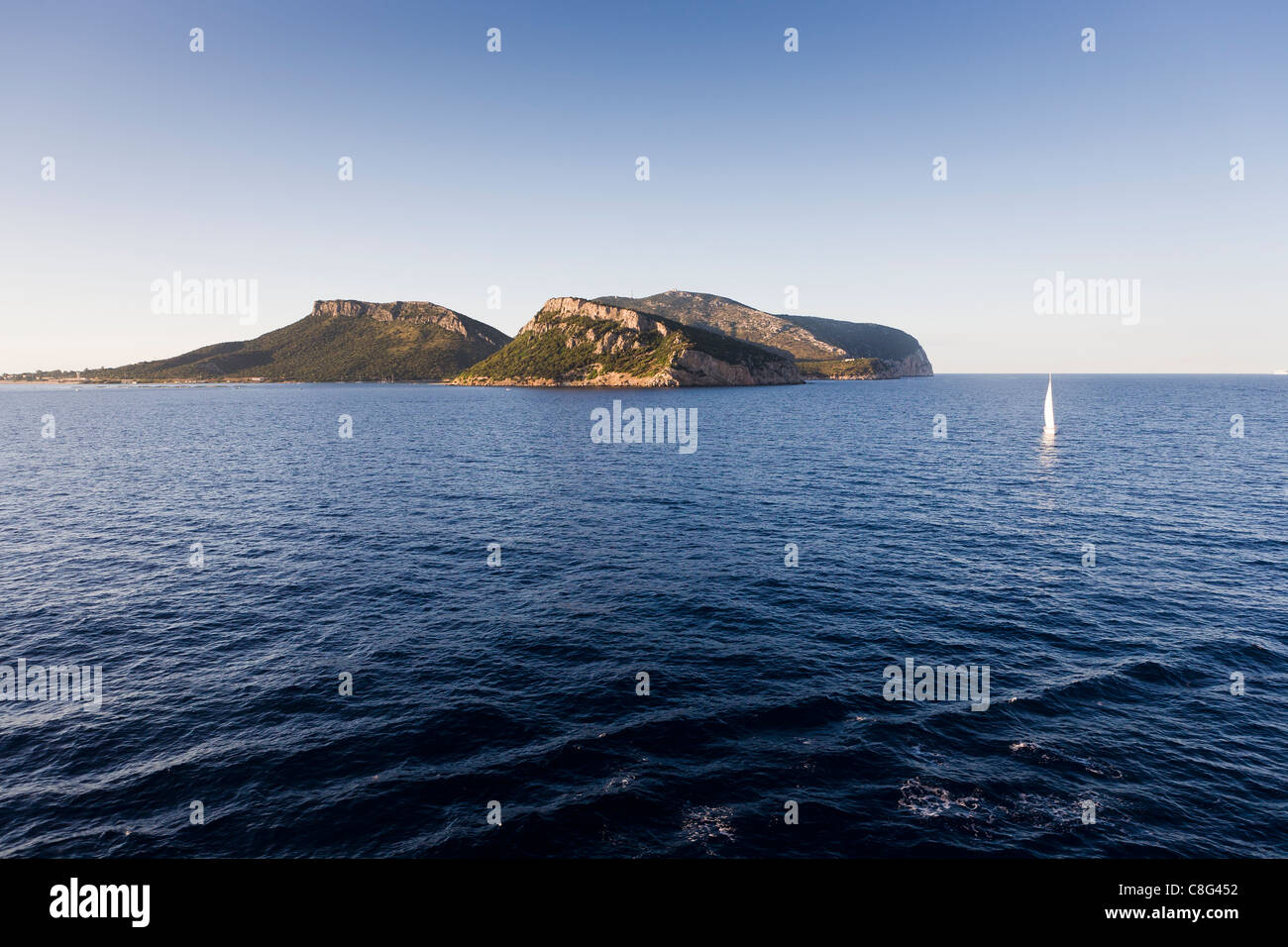 Cape figaro hi-res stock photography and images - Alamy