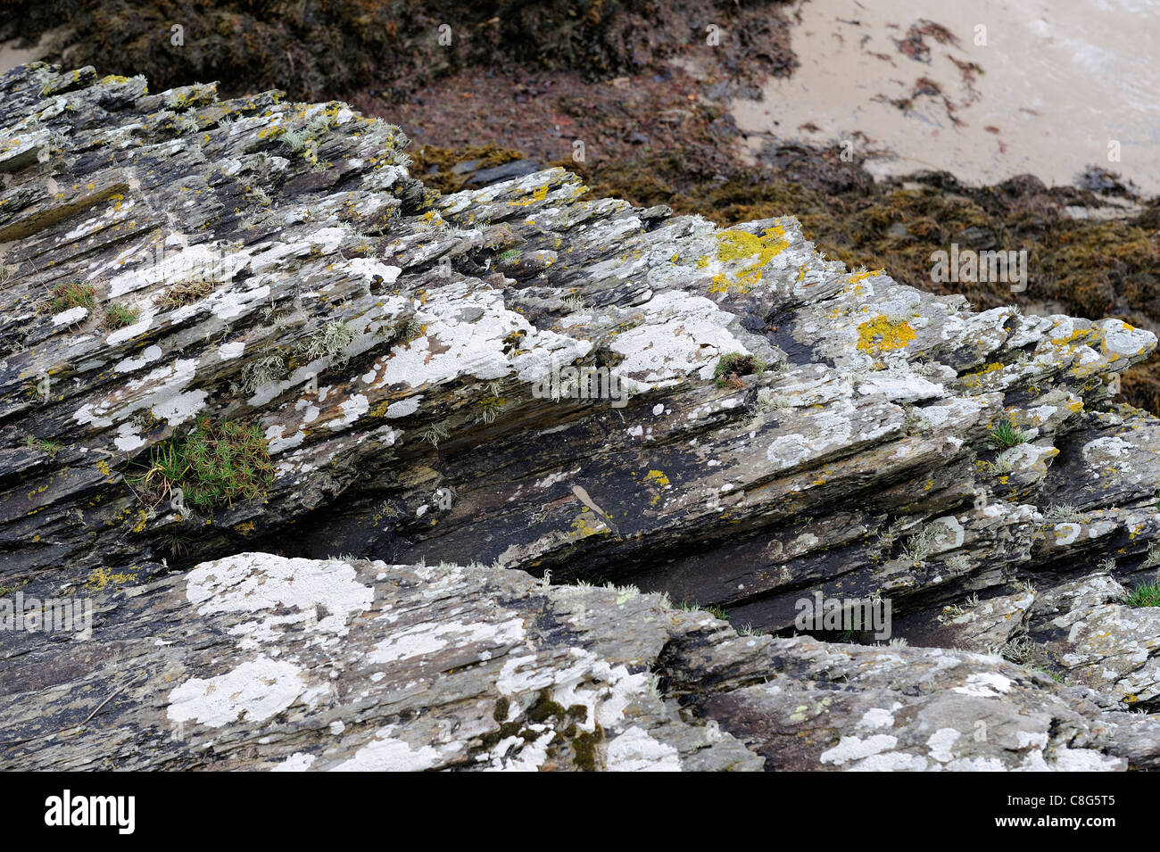 north wales coastal rock formation portmeirion uk Stock Photo - Alamy