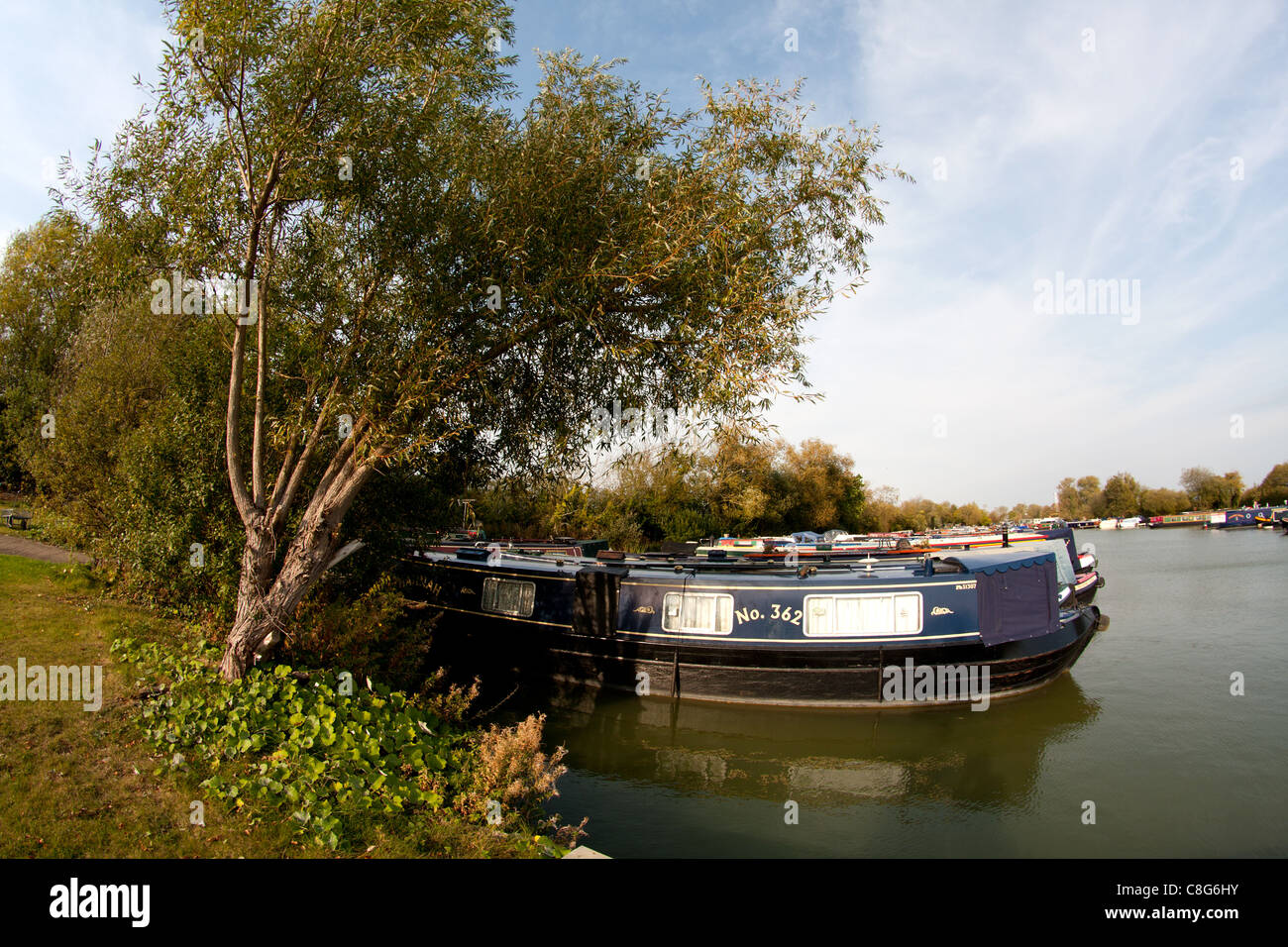 Narrowboats at Gayton Marina, Northamptonshire Stock Photo - Alamy