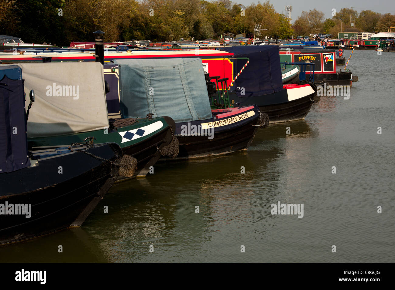 Narrowboats at Gayton Marina, Northamptonshire Stock Photo - Alamy
