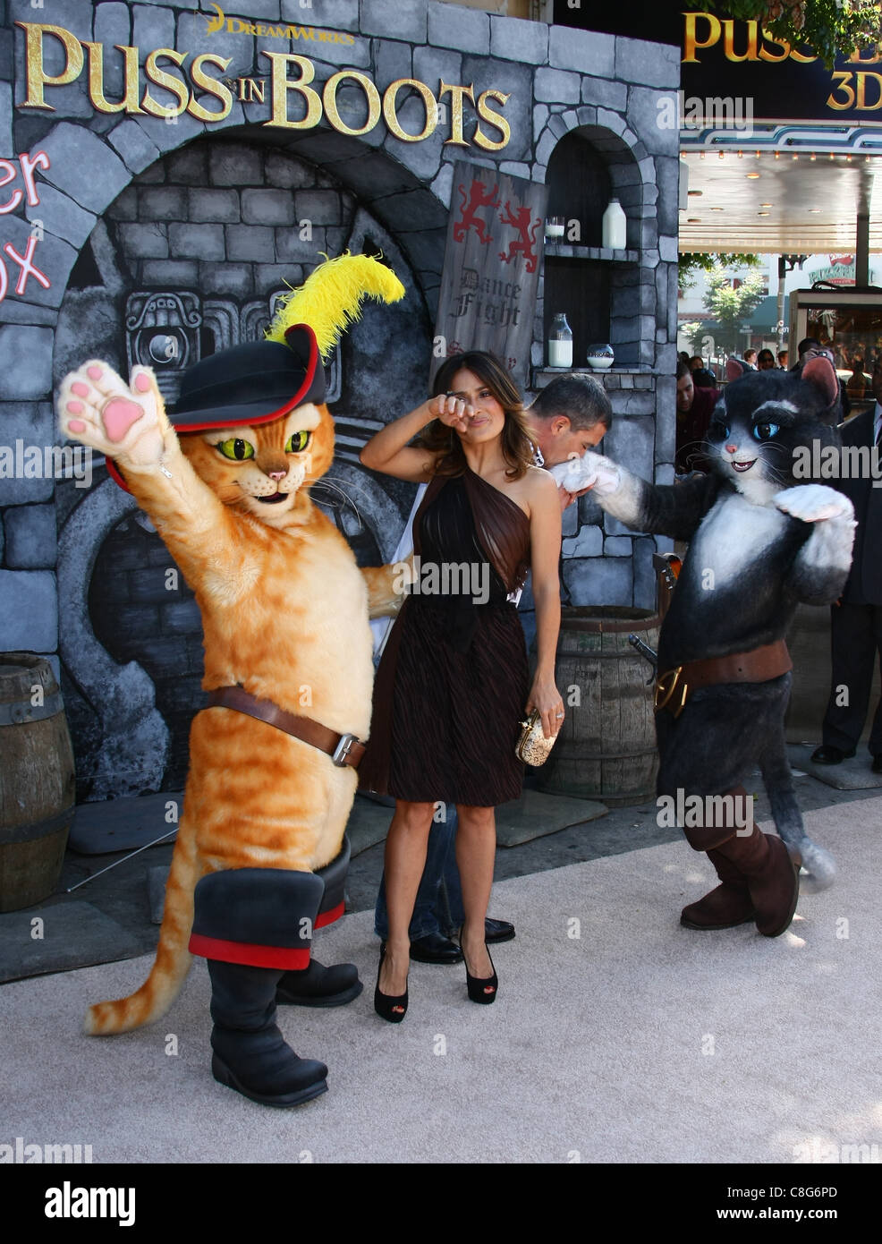 Puss In Boots And Kitty Softpaws Human