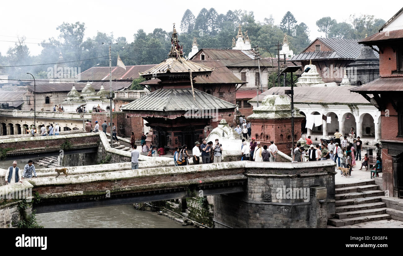 The holy Hindu temple complex of Pashupatinath on the banks of the ...