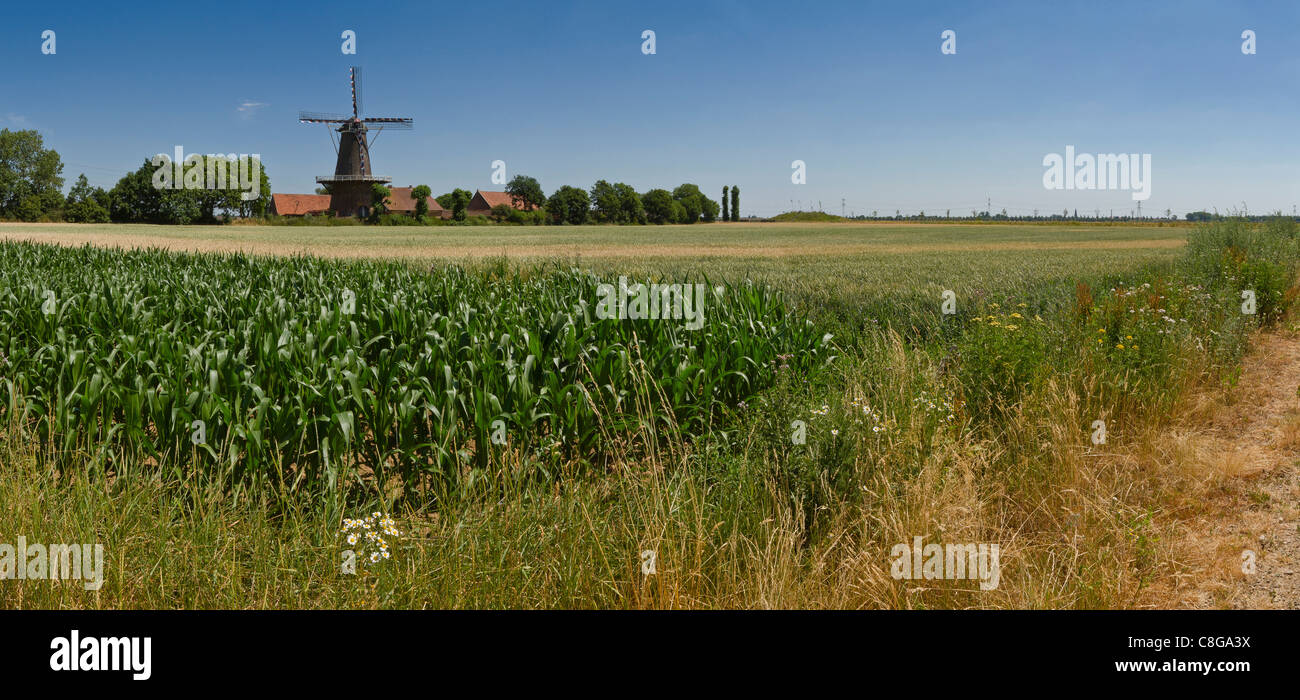 Windmill wheat field hi-res stock photography and images - Alamy