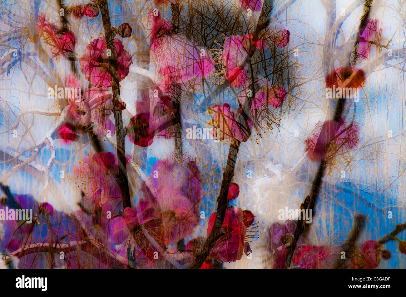 Autumn Changing into Winter Stock Photo - Alamy