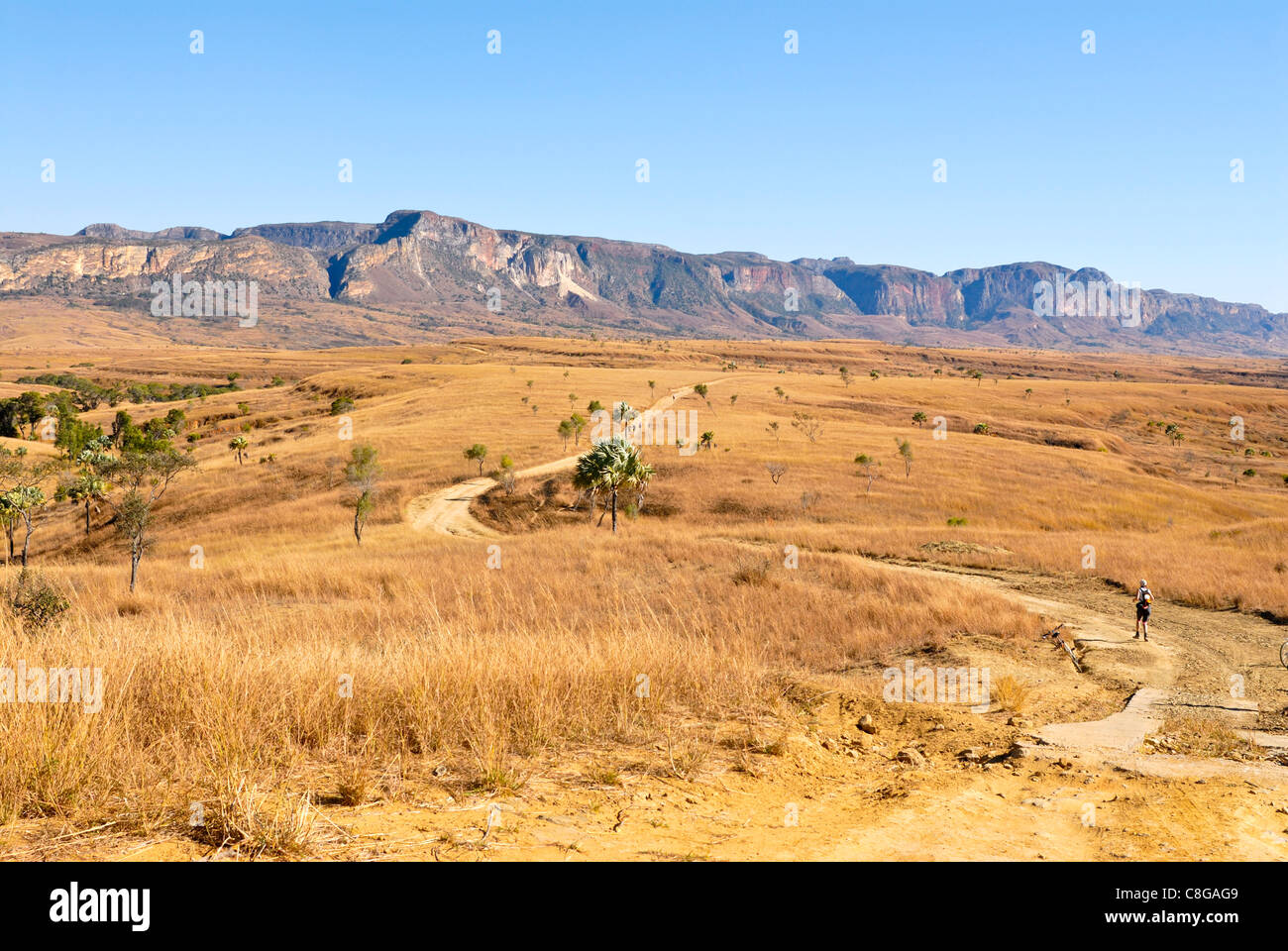Road going through the Isalo National Park, Madagascar Stock Photo - Alamy