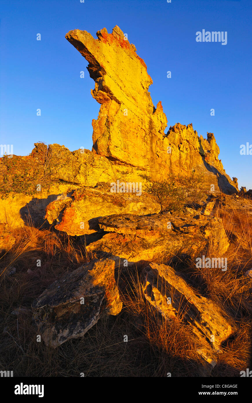Rock formation shimmering golden at sunset in the Isalo National Park ...