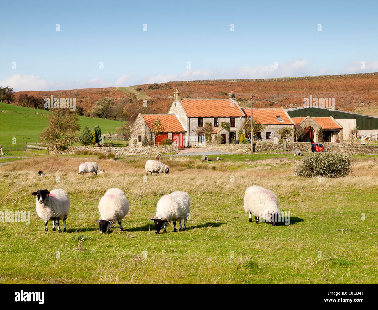 Common land house hi-res stock photography and images - Alamy