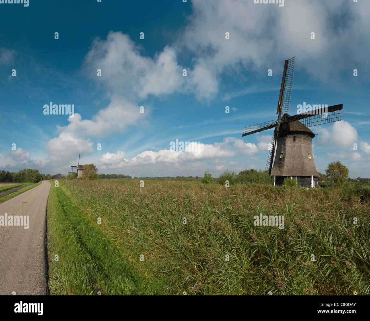 Polder de schermer hi-res stock photography and images - Alamy