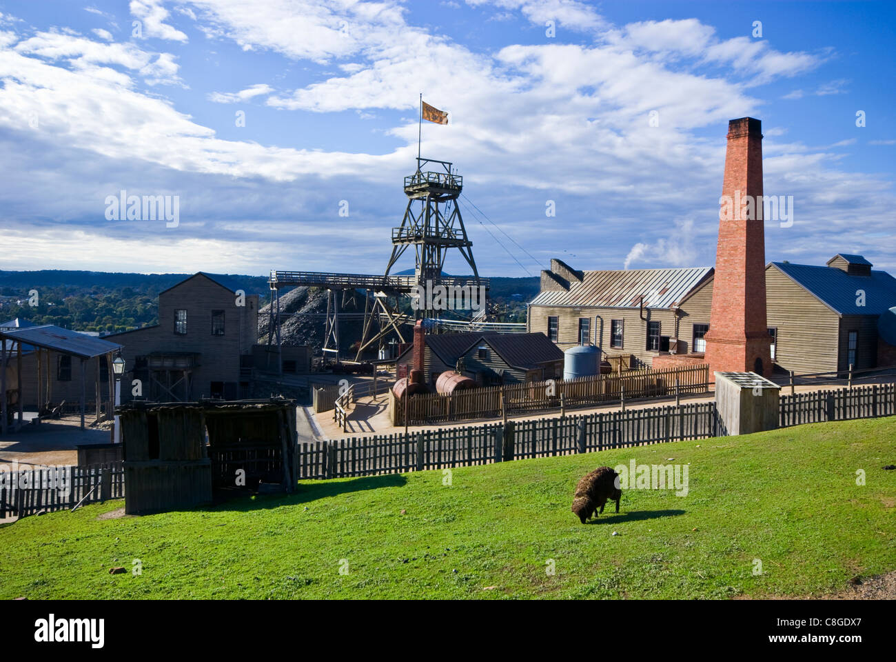 A lone sheep grazes in a paddock overlooking a gold mining town Stock ...