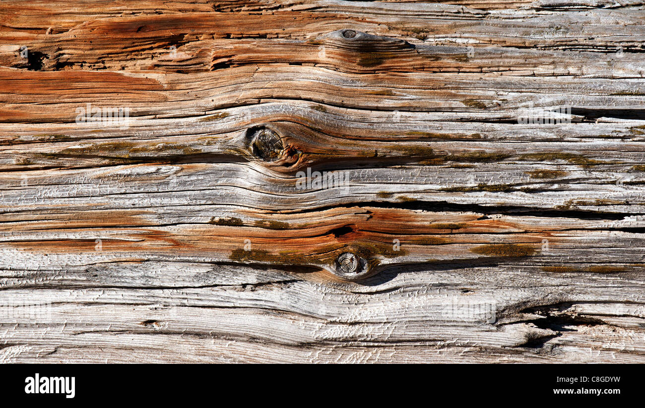 The texture of a weathered plank of wood Stock Photo - Alamy
