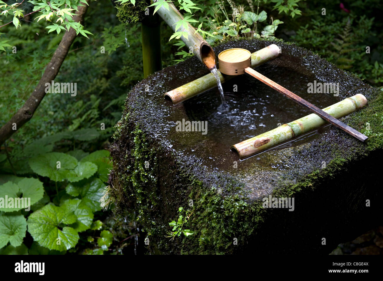 A tsukubai (stone water basin) with bamboo ladle in a garden at ...