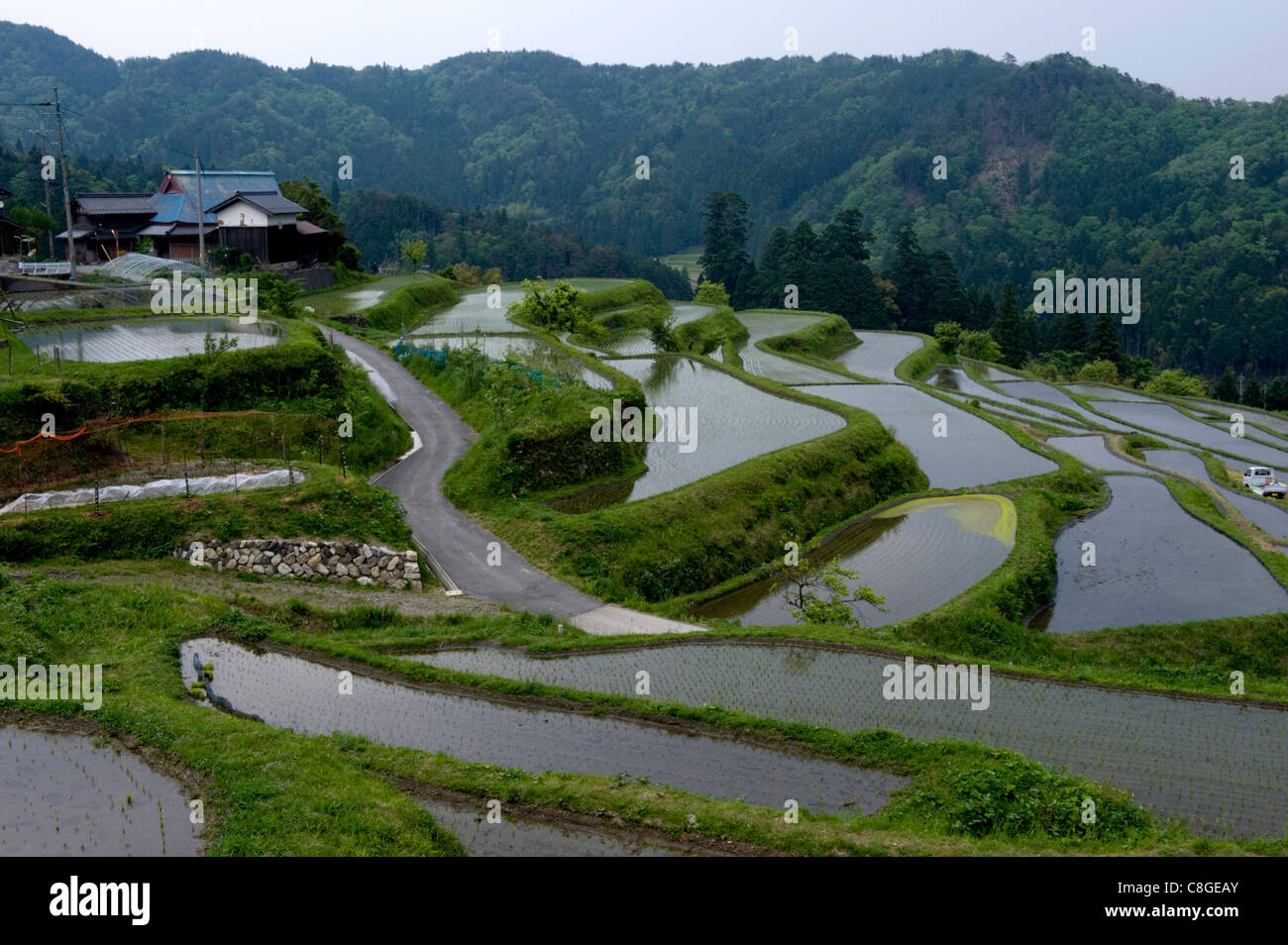 Flooded rice paddy terraces in early spring in mountain village of Hata ...