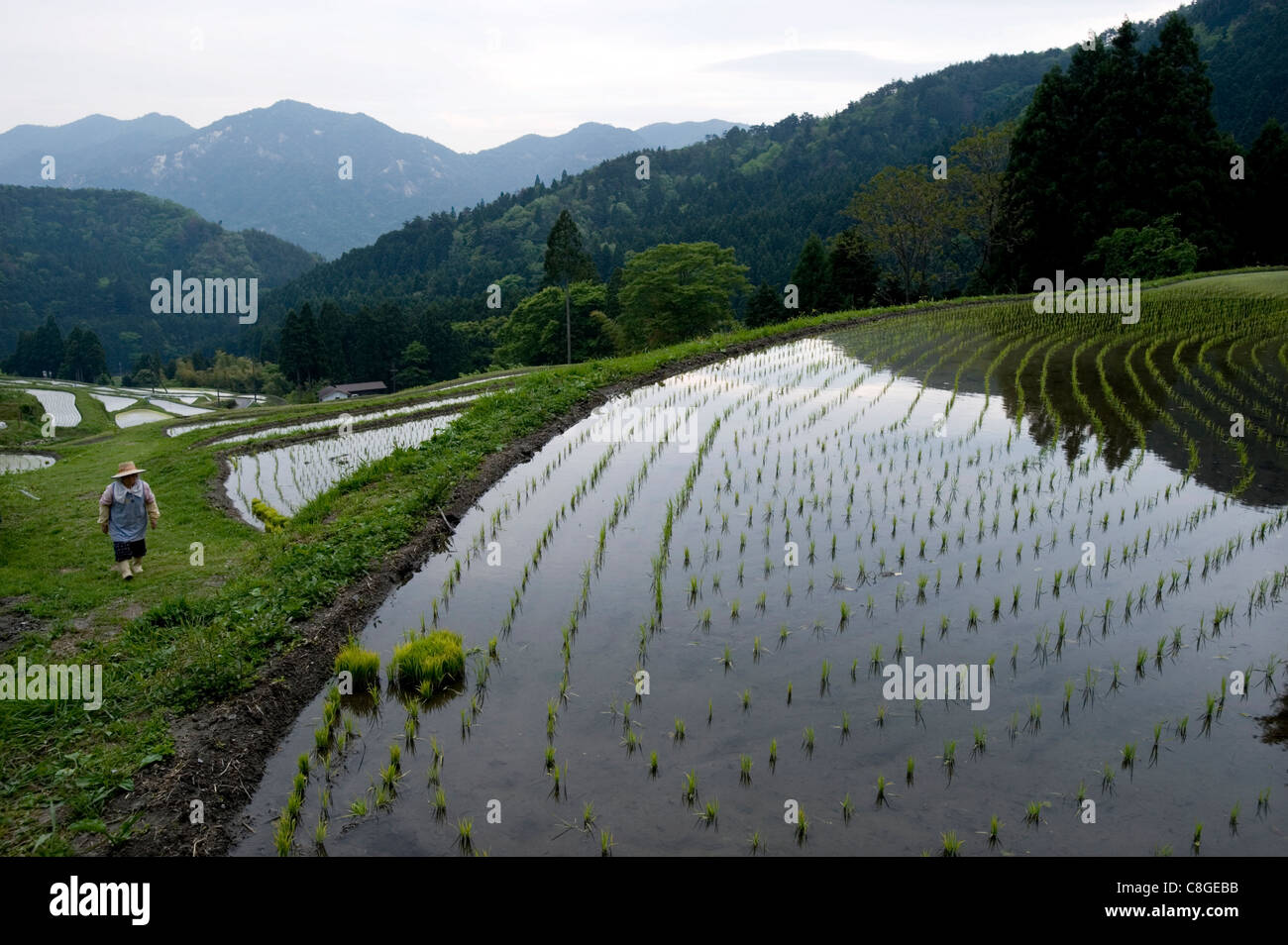 Village rice terraces hi-res stock photography and images - Alamy