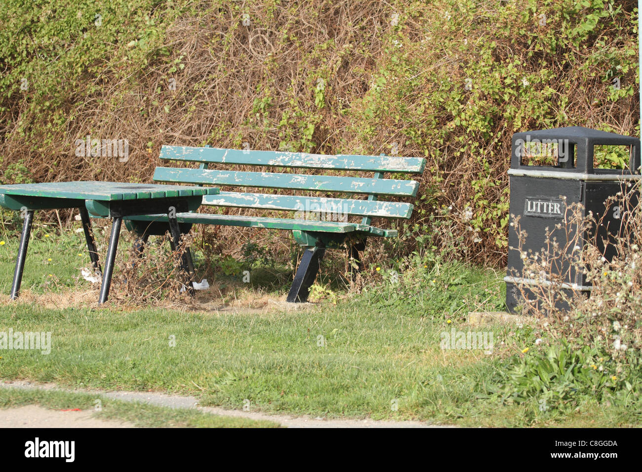 picnic area with table bench litter bin on grass Stock Photo - Alamy