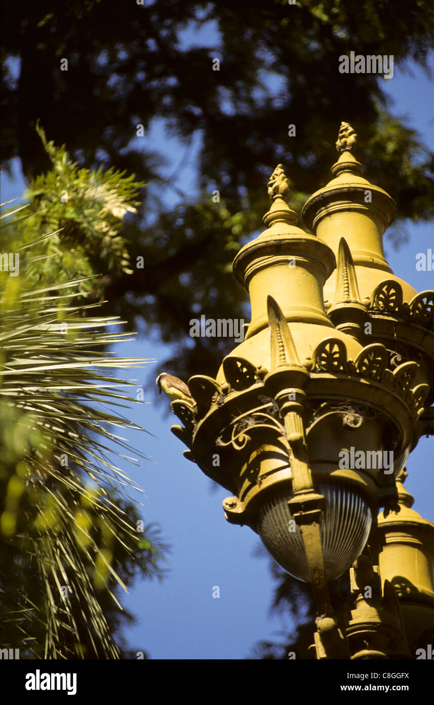 Decorative street lamp post trees in hi-res stock photography and ...