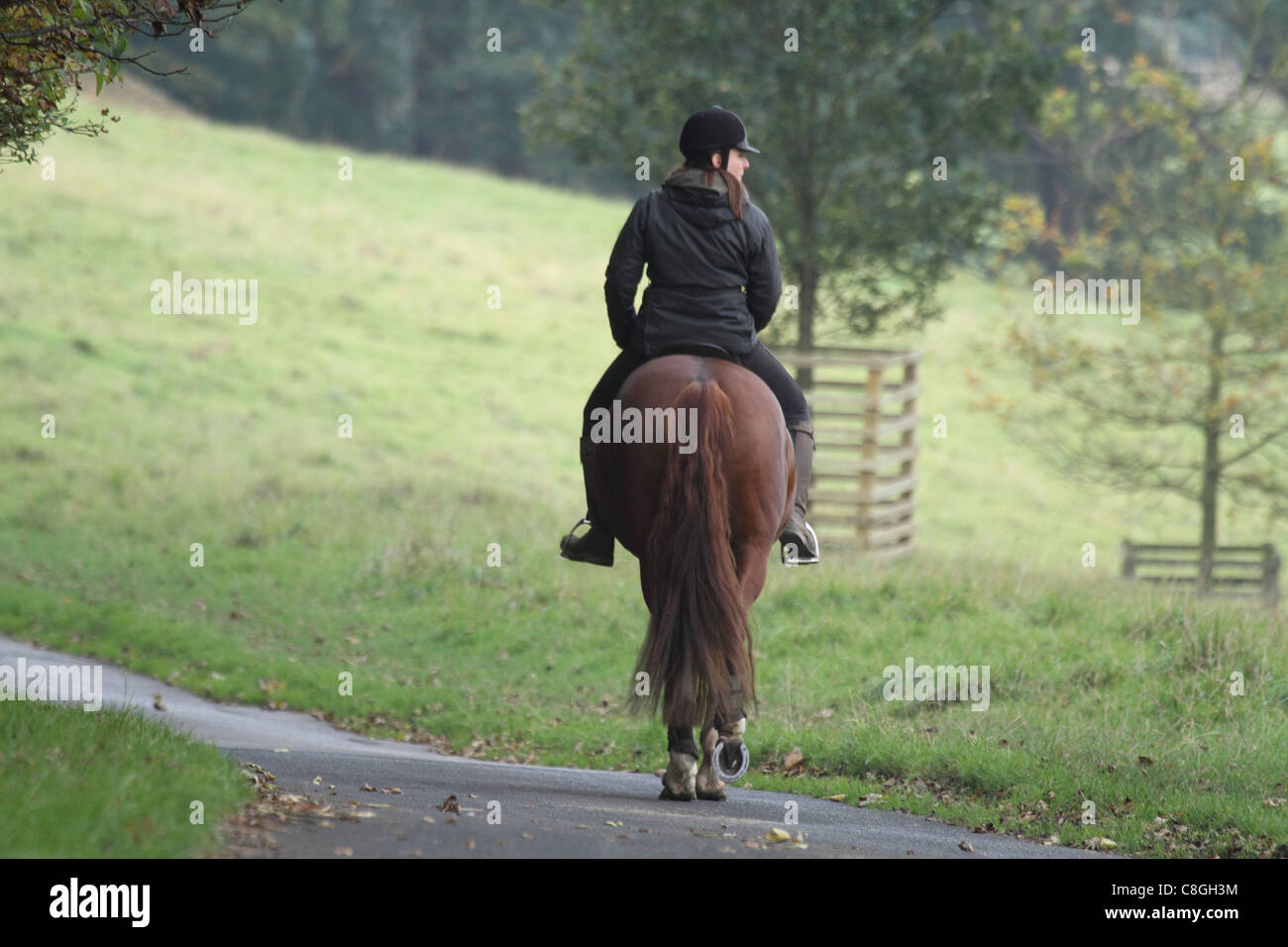 Rear view of horse hi-res stock photography and images - Alamy