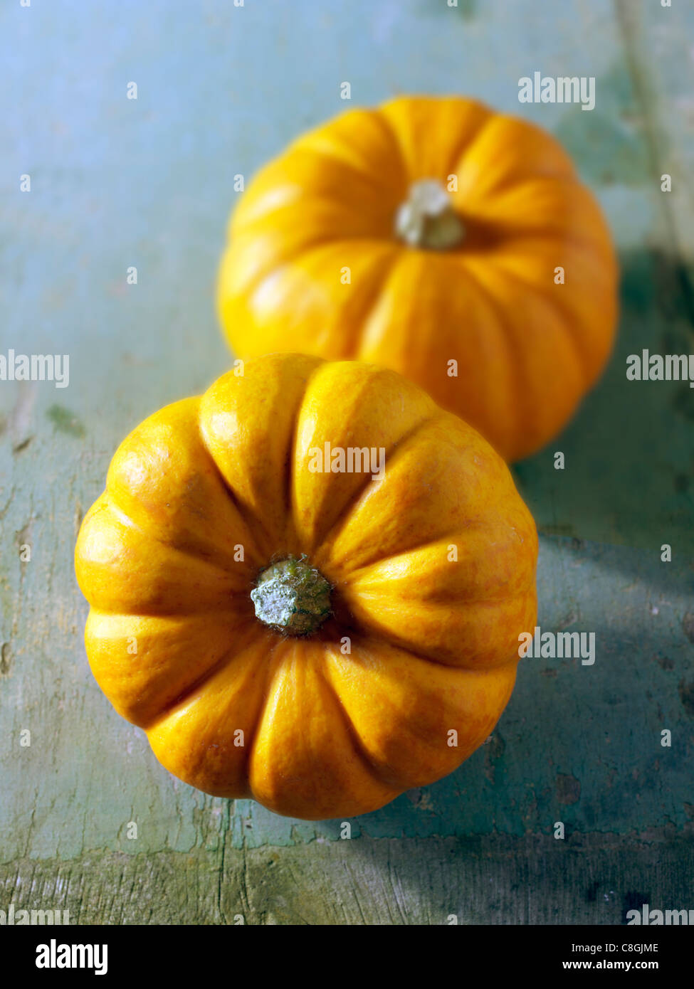 One pumpkins hi-res stock photography and images - Alamy