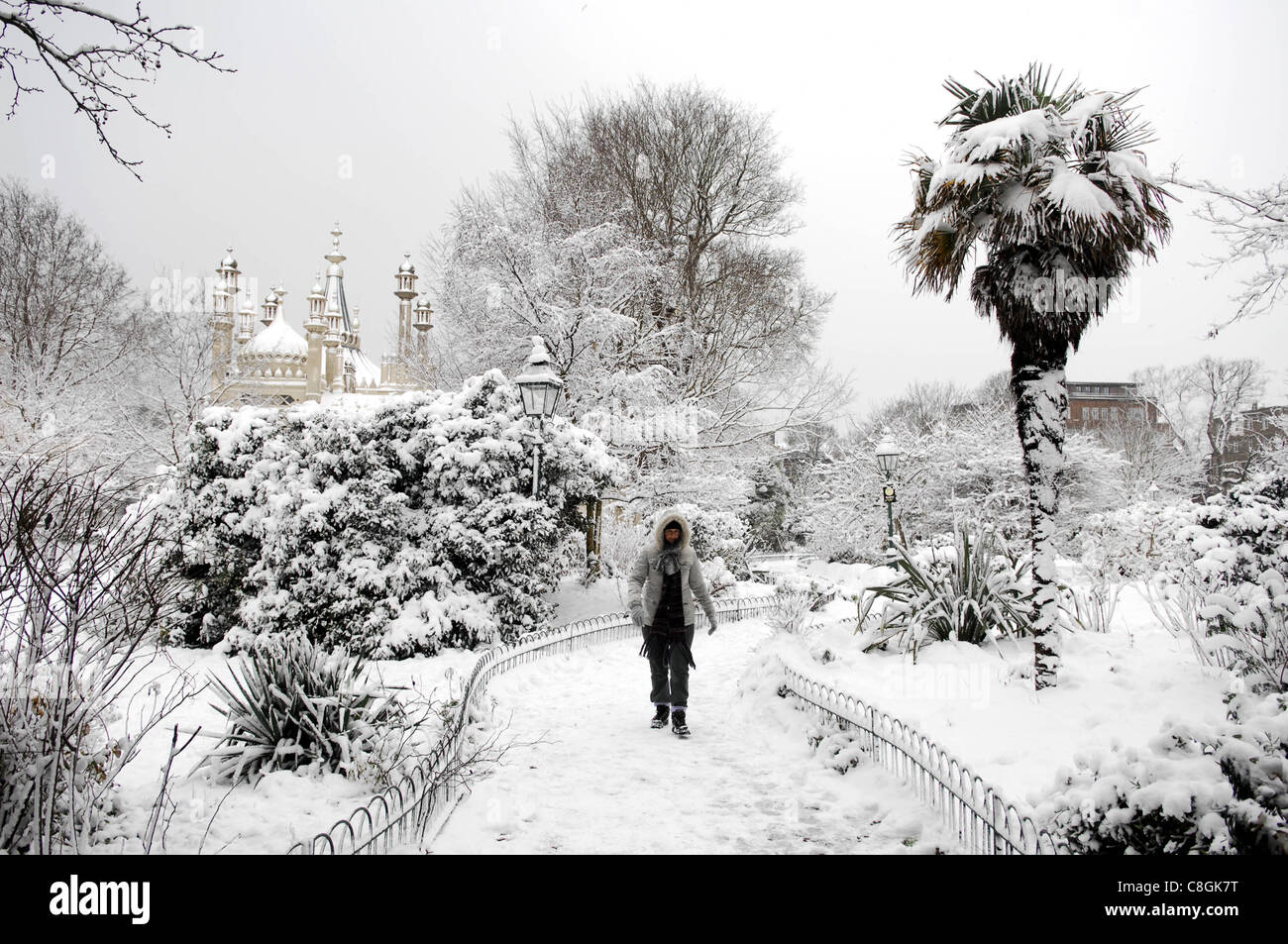 Palm tree royal pavilion brighton hi-res stock photography and images ...