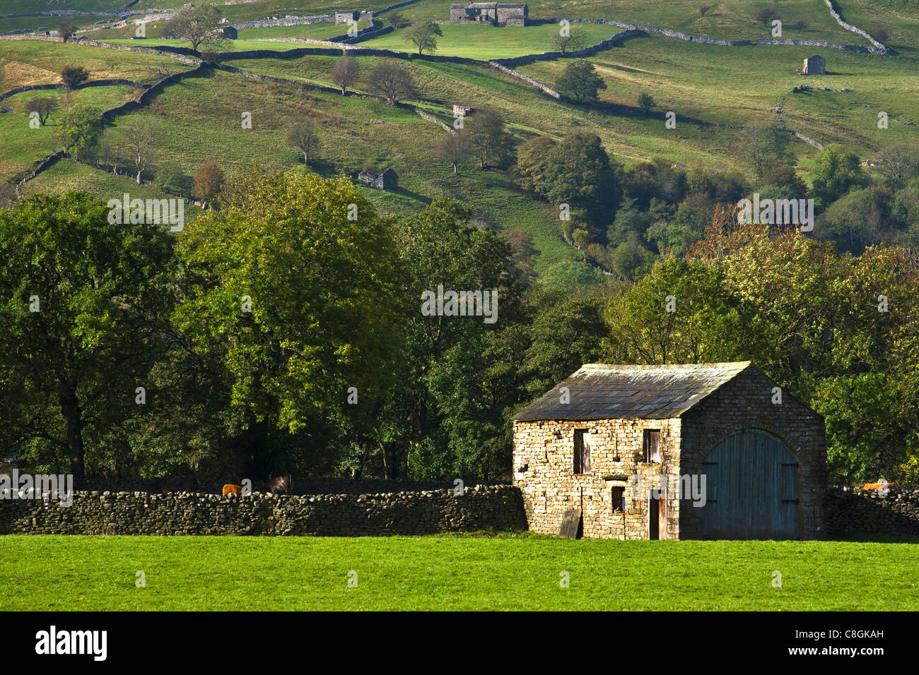 Winter Barns in Swaledale Stock Photo - Alamy