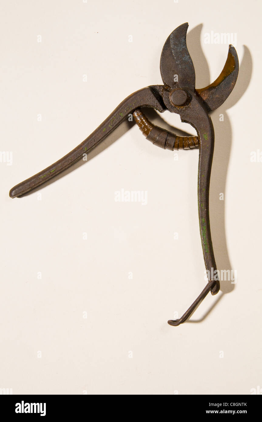 Rusty old secateurs hi-res stock photography and images - Alamy
