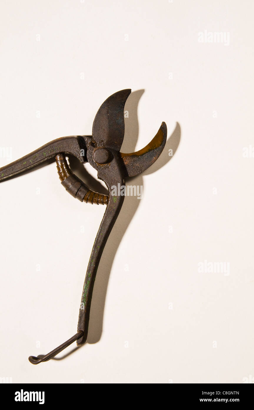 Old vintage secateurs hi-res stock photography and images - Alamy