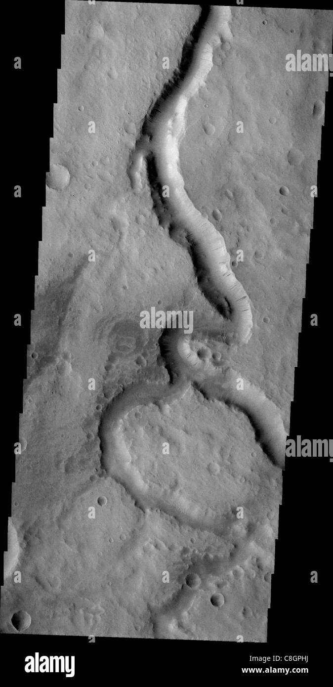 Scamander hi-res stock photography and images - Alamy