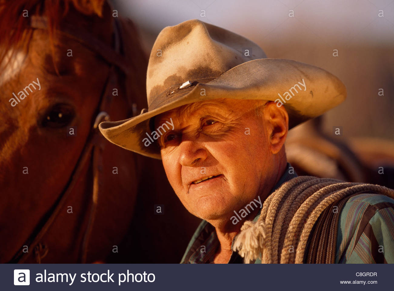 Urban Cowboy Stock Photos & Urban Cowboy Stock Images - Alamy