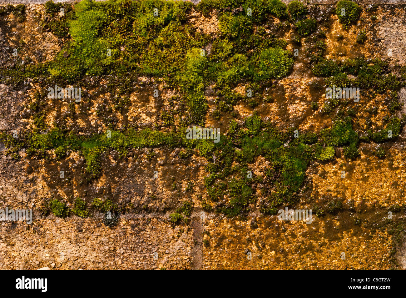 Clay texture textures textured moss hi-res stock photography and images ...