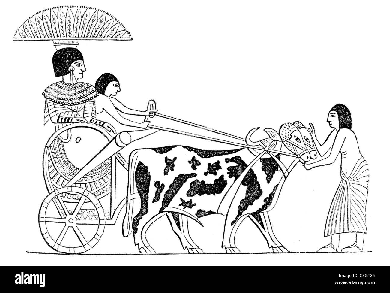 Egyptian chariot High Resolution Stock Photography and Images - Alamy