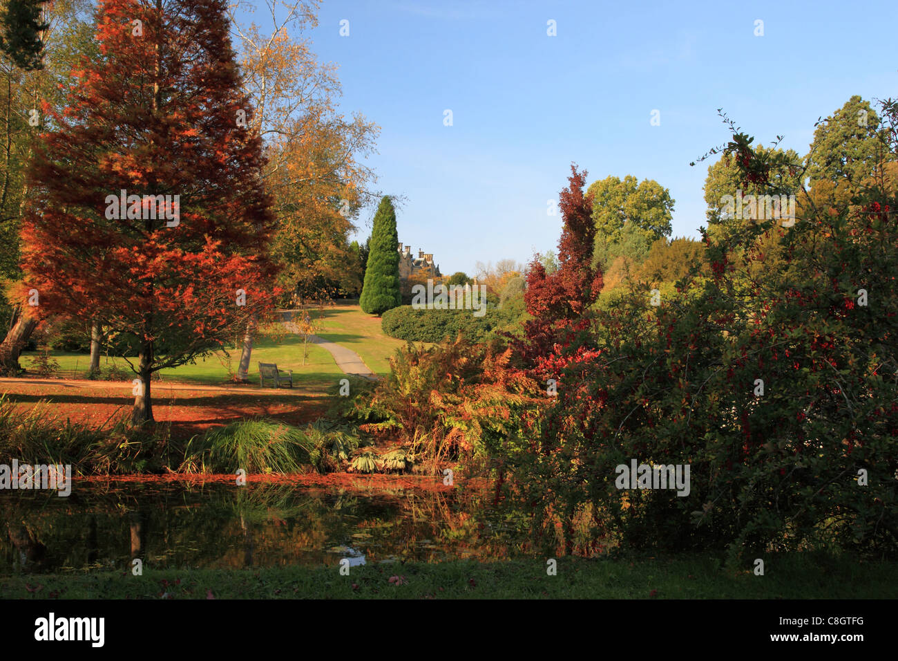 Park at Scotney Castle Lamberhurst, Kent, England Stock Photo - Alamy